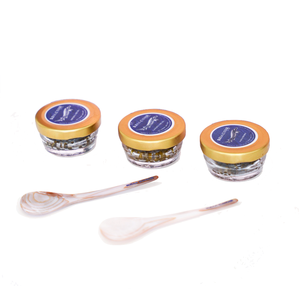 Buy Premium Caviar Tasting Set Online | NYC, Hamptons | USA